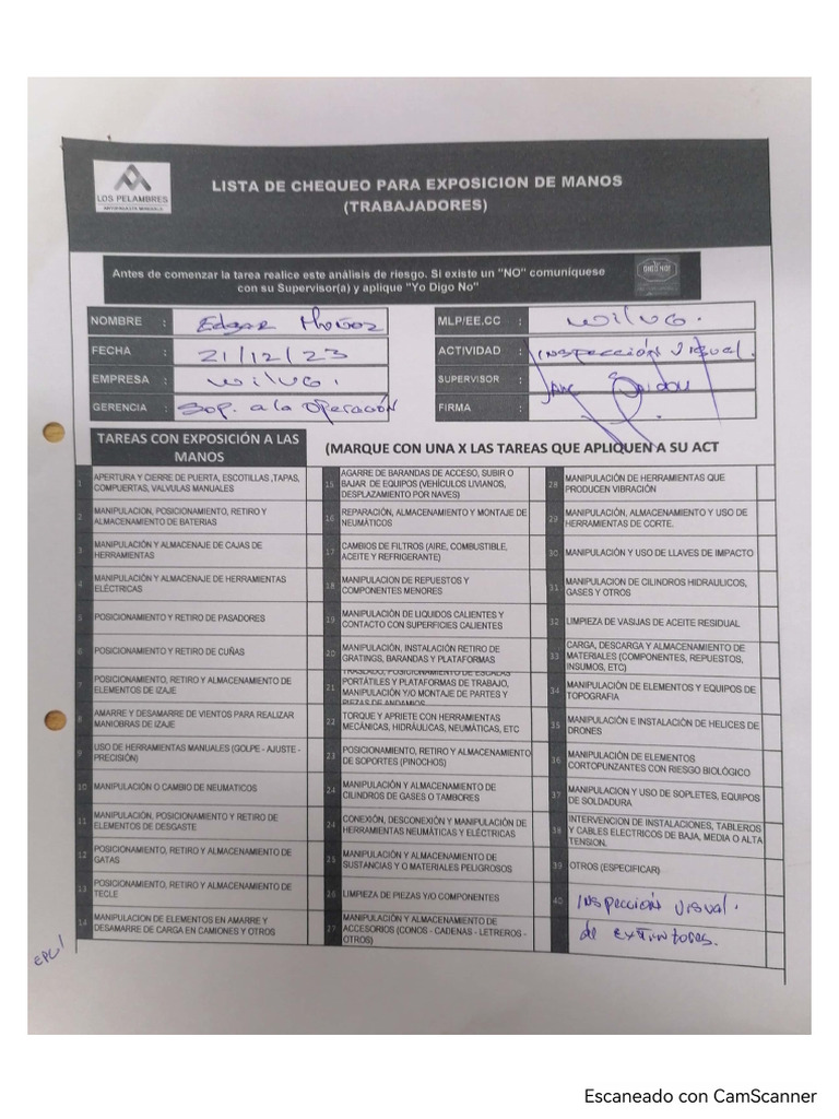 Chequeo Exposición de Manos | PDF