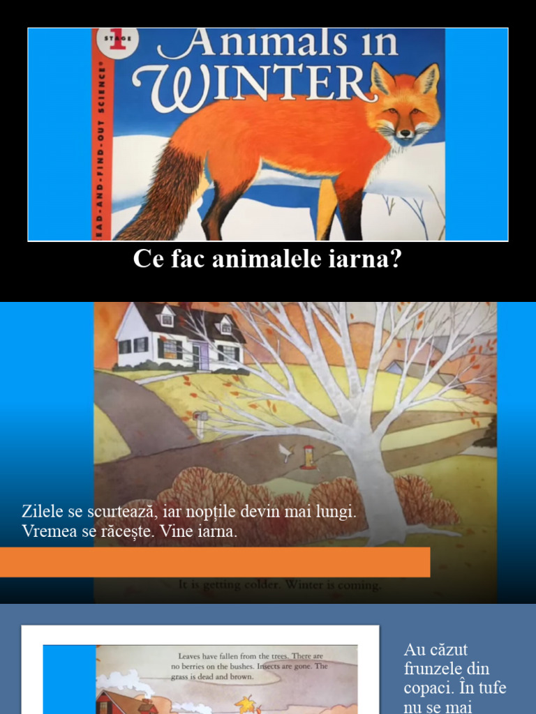 Ce Fac Animalele Iarna | PDF