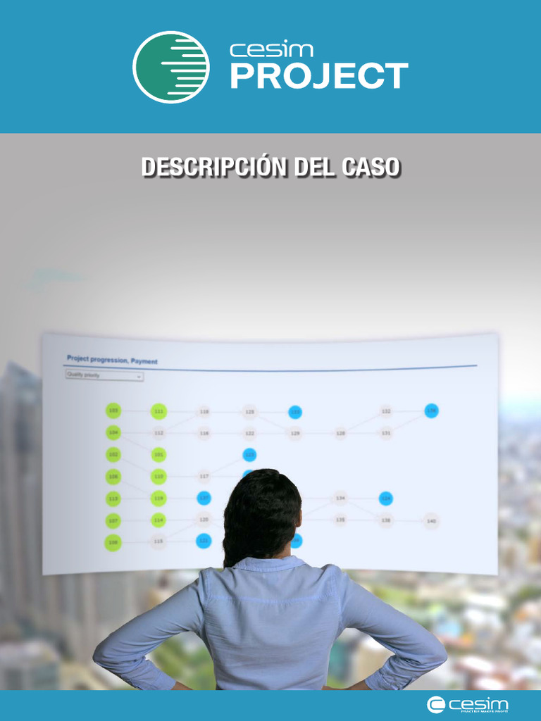 Simulación de Proyecto de Digitalización en InsCorp | PDF | Software ...