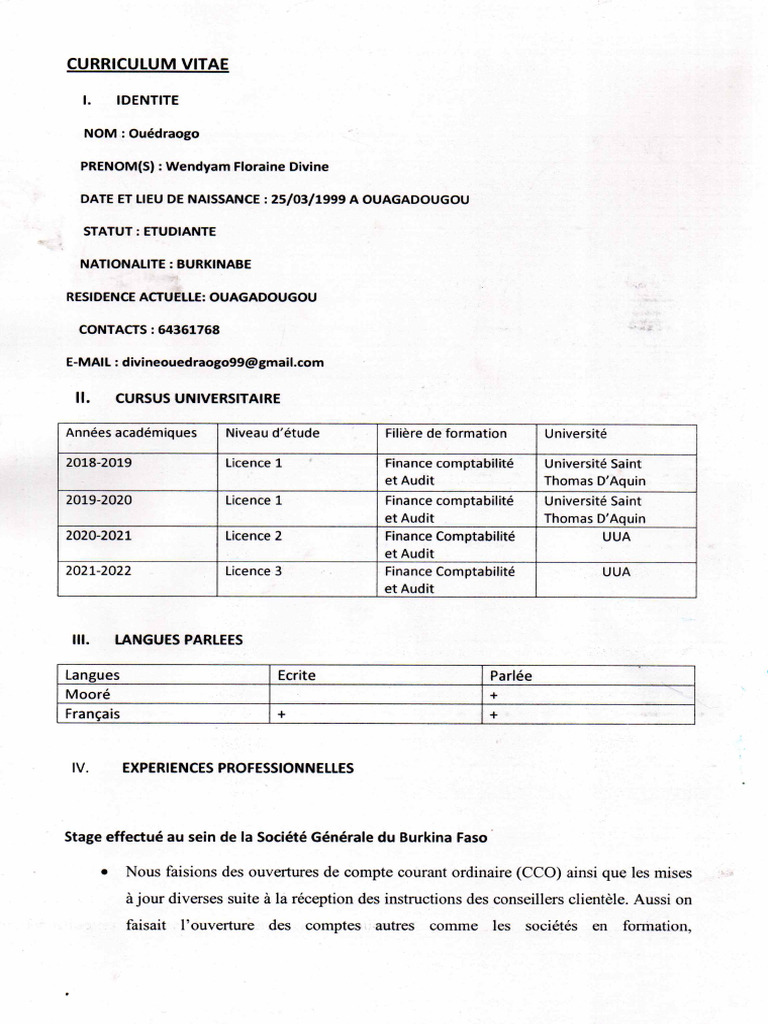 Curriculum Vitae Divine Ouedraogo | PDF