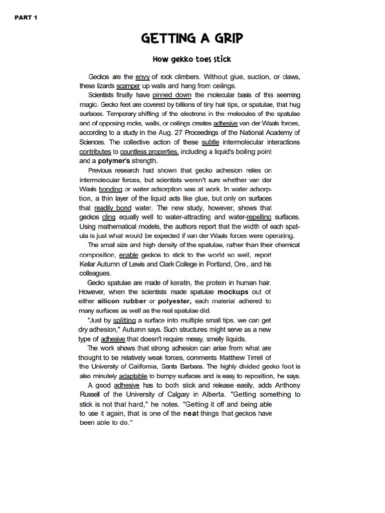 GEKKO Reading Comprehension | PDF