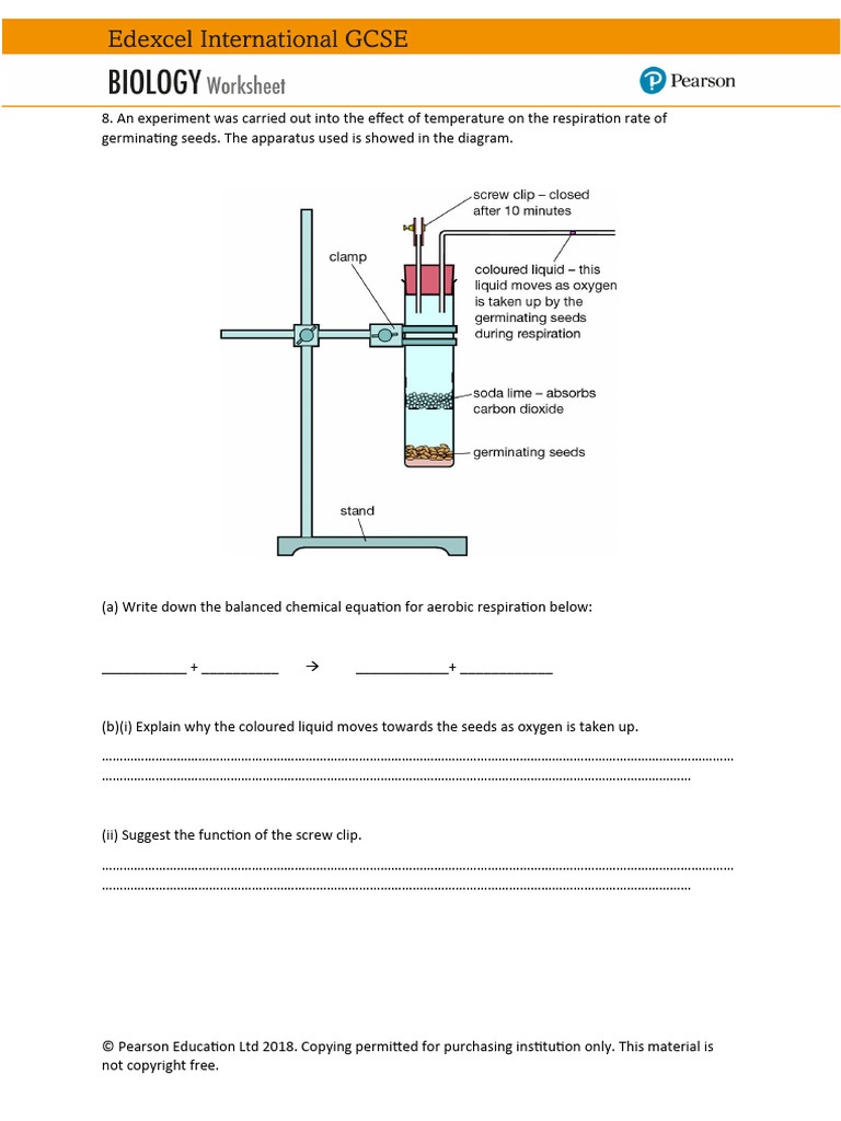 IGCSE - Bio - Worksheet 1 - Q8-9 Rate of Respiration | PDF | Adenosine ...