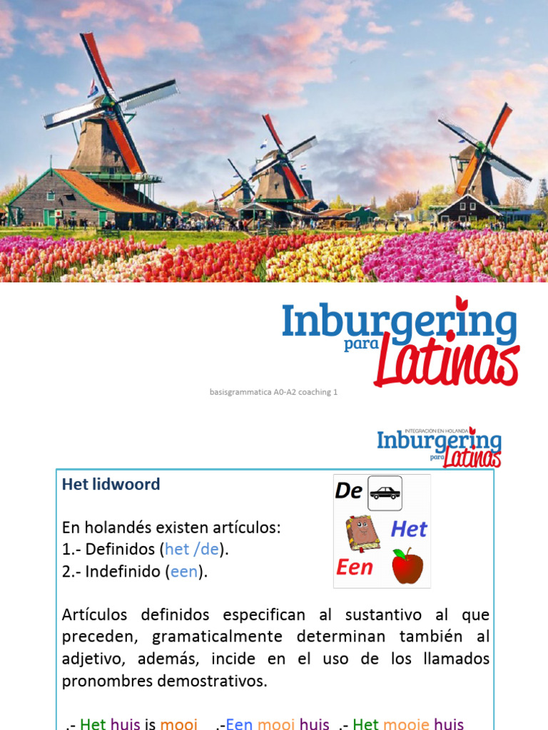 Het Lidwoord 2 | PDF