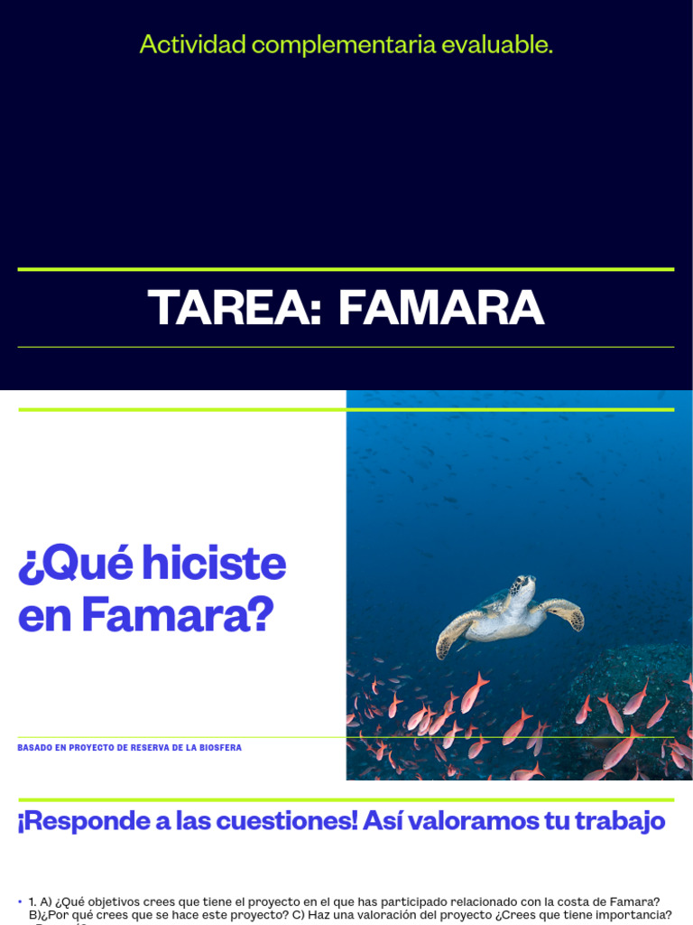 Actividad Complementaria - Famara | PDF | Cognición