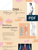 Marcha Steppage: Causas y Tratamiento | PDF | Electromiografia ...