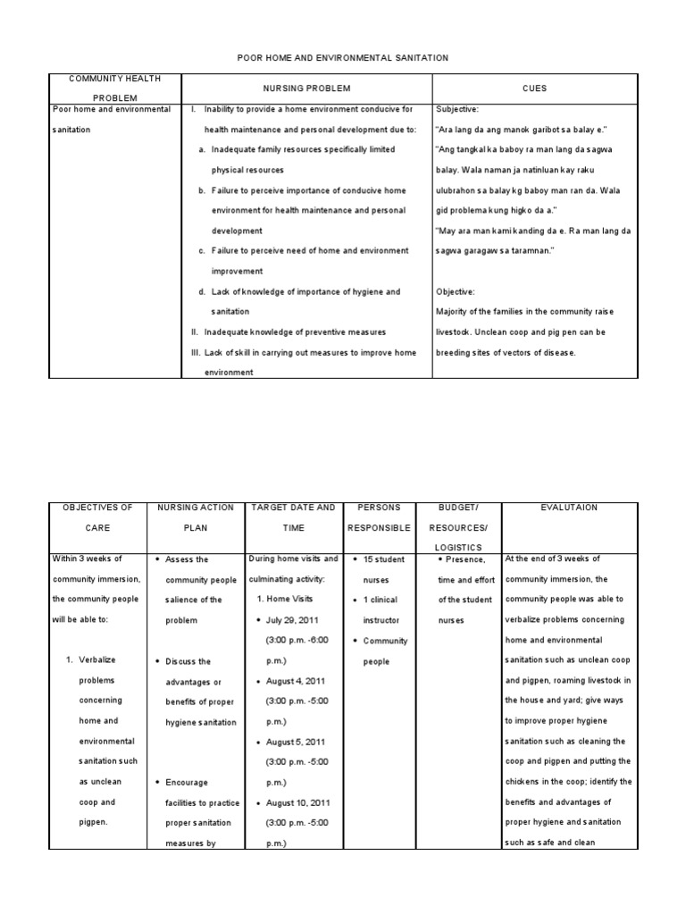 Poor Home and Environmental Sanitation Community Health Problem Nursing ...
