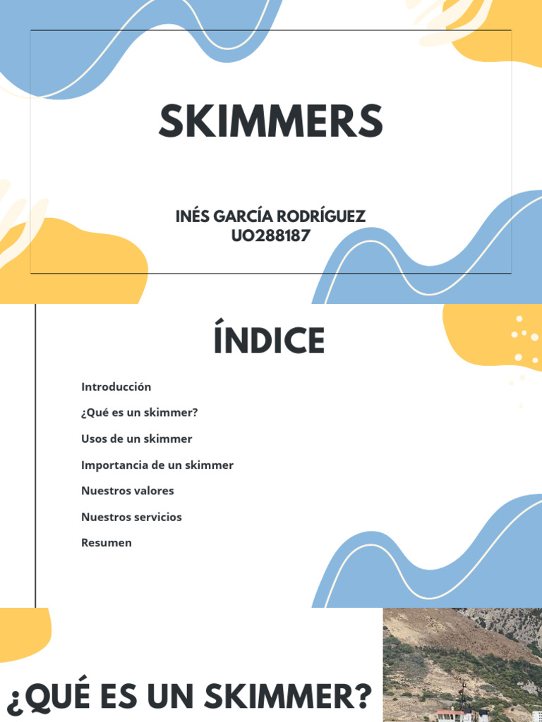 SKIMMERS | PDF