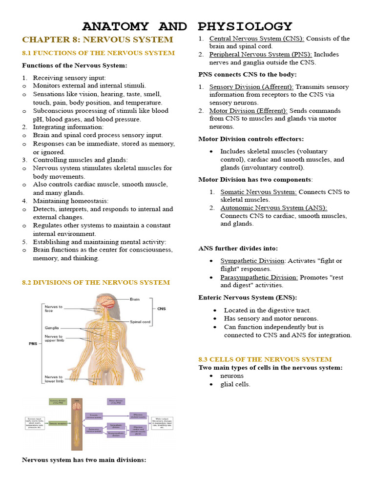 CHAPTER 8 ANAPHY Transes | PDF | Action Potential | Autonomic Nervous System