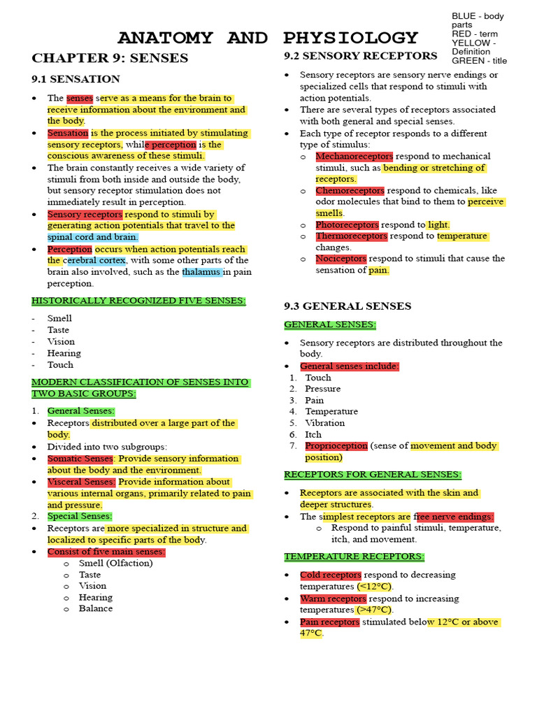 Chapter 9 Anaphy Transes | PDF | Ear | Senses