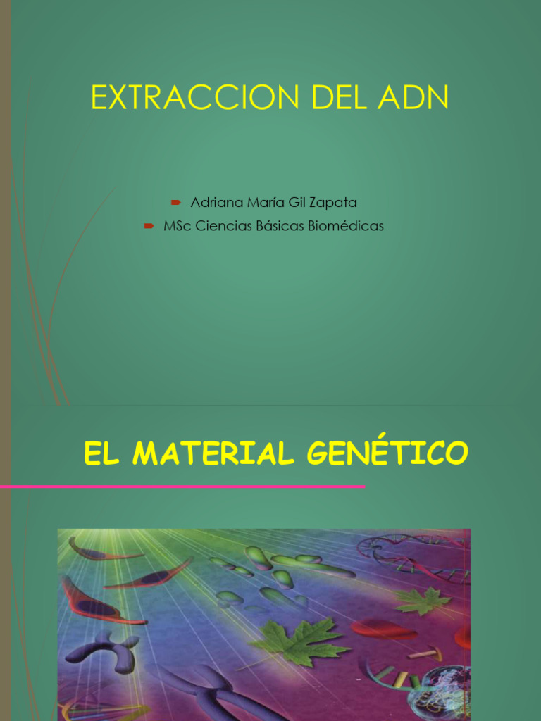 Amagilza - Extraccion ADN | PDF | Adn | Genética