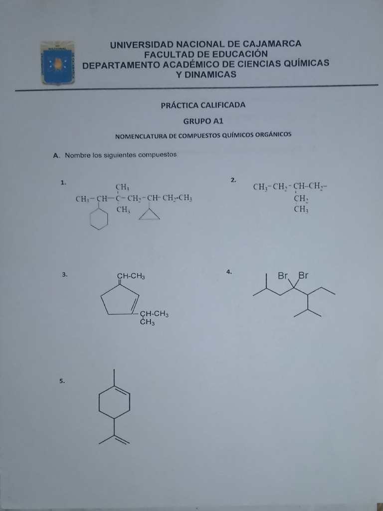 Practica de Química Orgánica | PDF