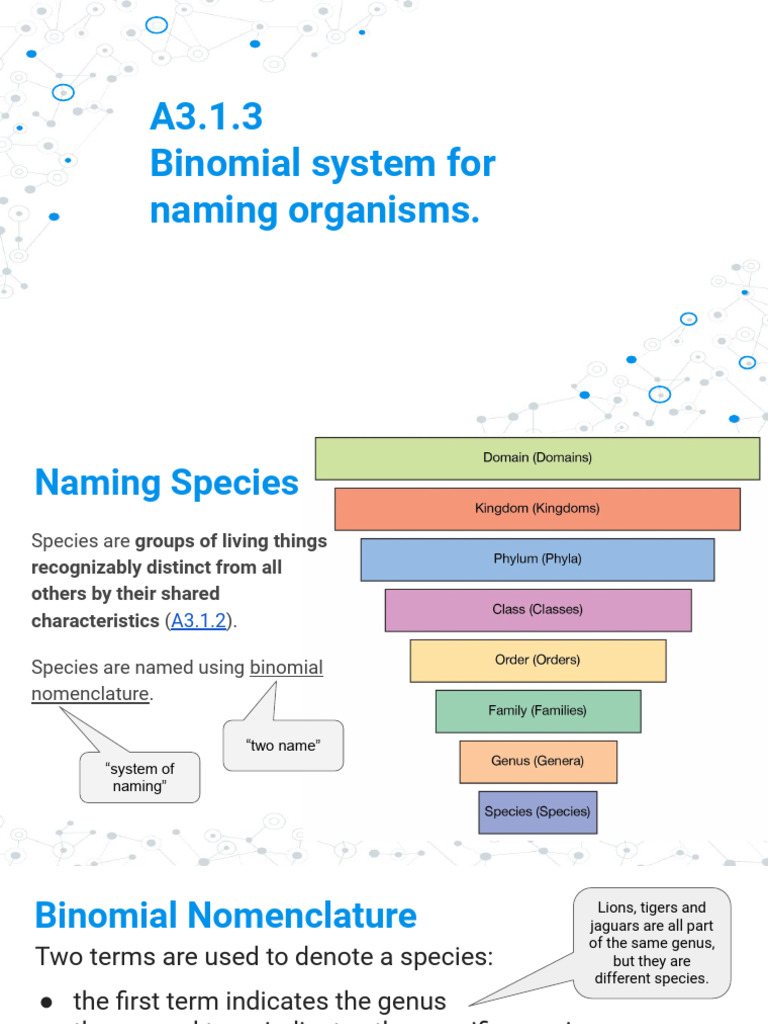 Binomial System For Naming Organisms (A3.1.3) | PDF