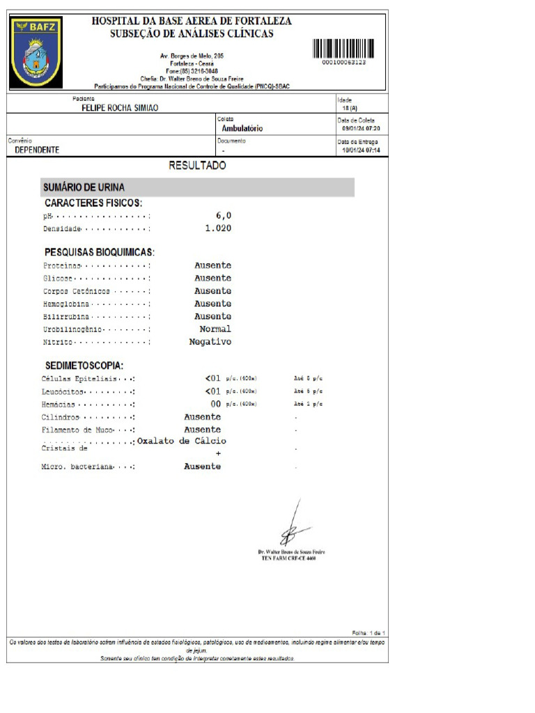 Sumario de Urina - Felipe Rocha Simiao | PDF