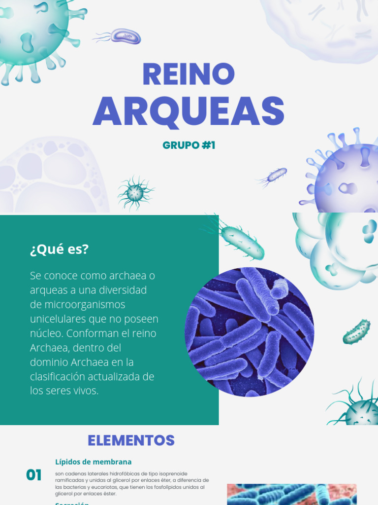 Características y Tipos de Arqueas | PDF | Archaea | Las bacterias