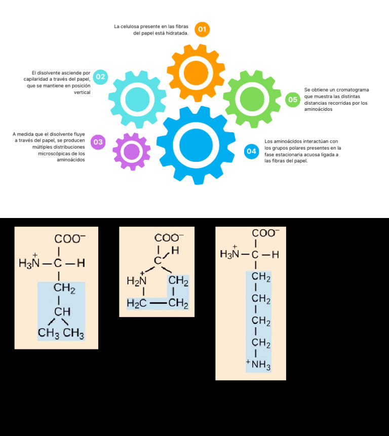6 Points Gear Diagram Process Infographic Brainstorm | PDF