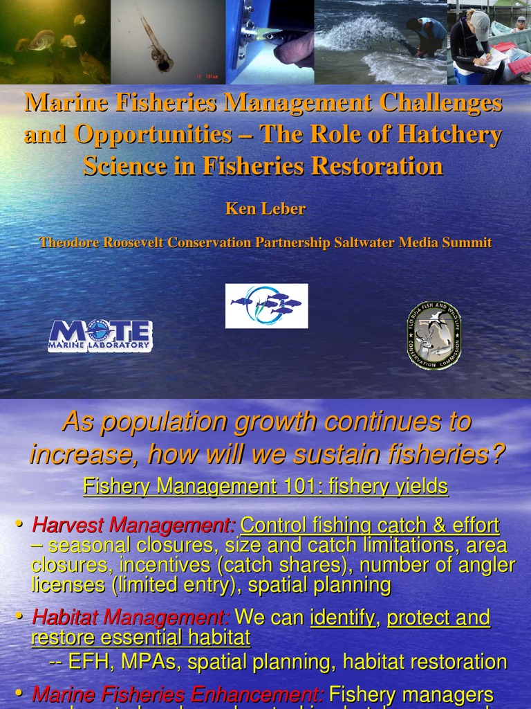 Marine Fisheries Enhancement | PDF | Overfishing | Fisheries Management