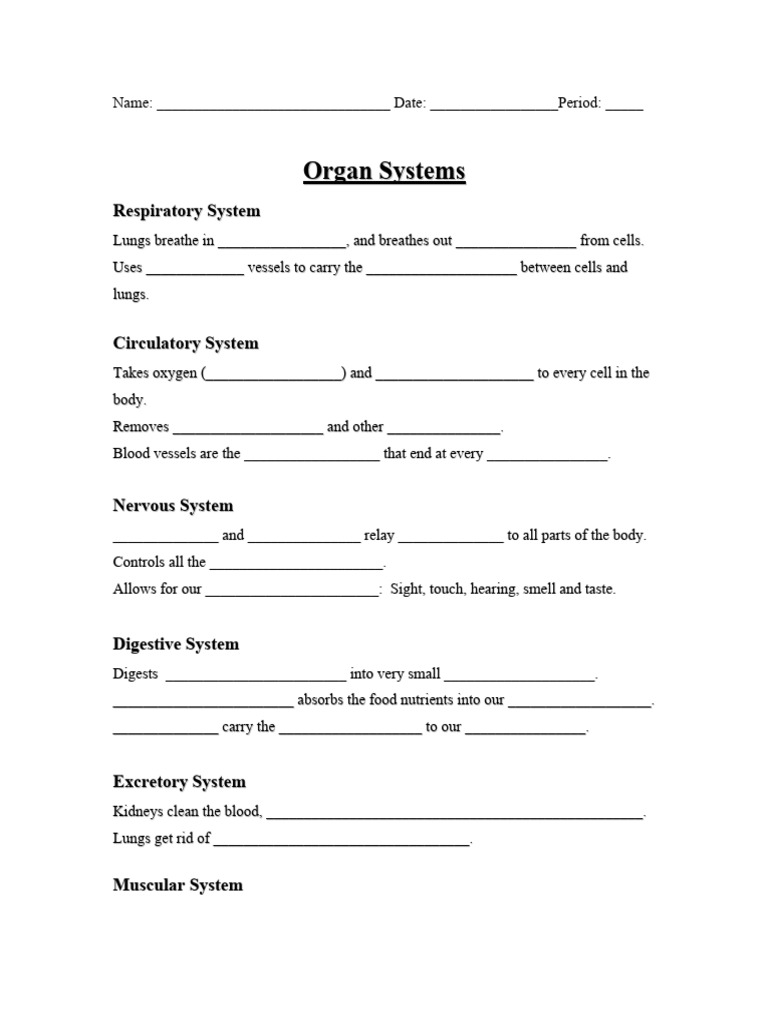 Organ Systems Guided Notes | PDF