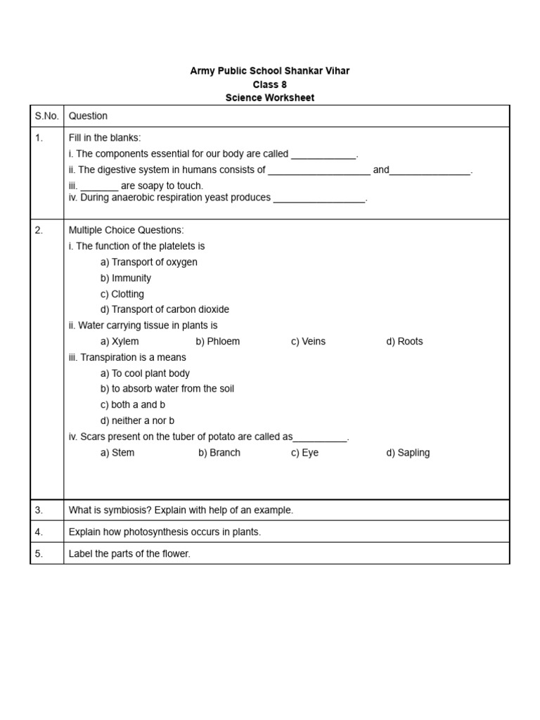 TERM 1 Worksheet For Class 8 | PDF | Science & Mathematics