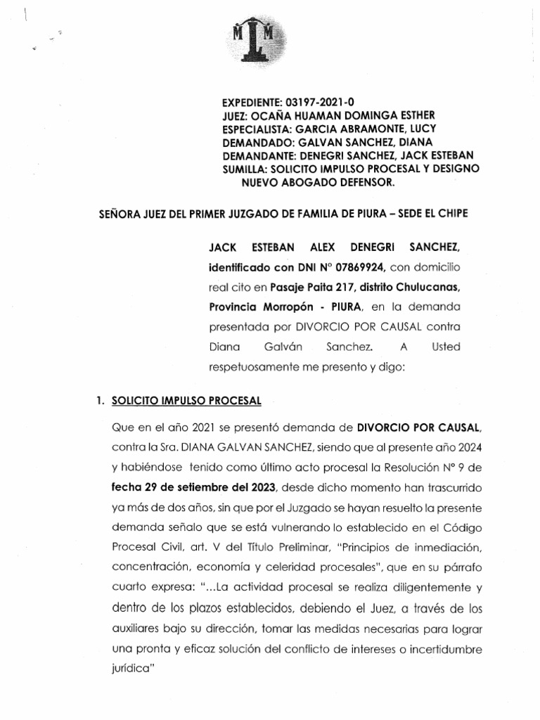 Impulso Procesal y Cambio Abogado Defensor | PDF