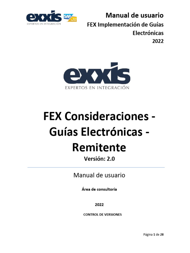 FEX - GRE Manual de Consideraciones Guías V3 | PDF | Informática