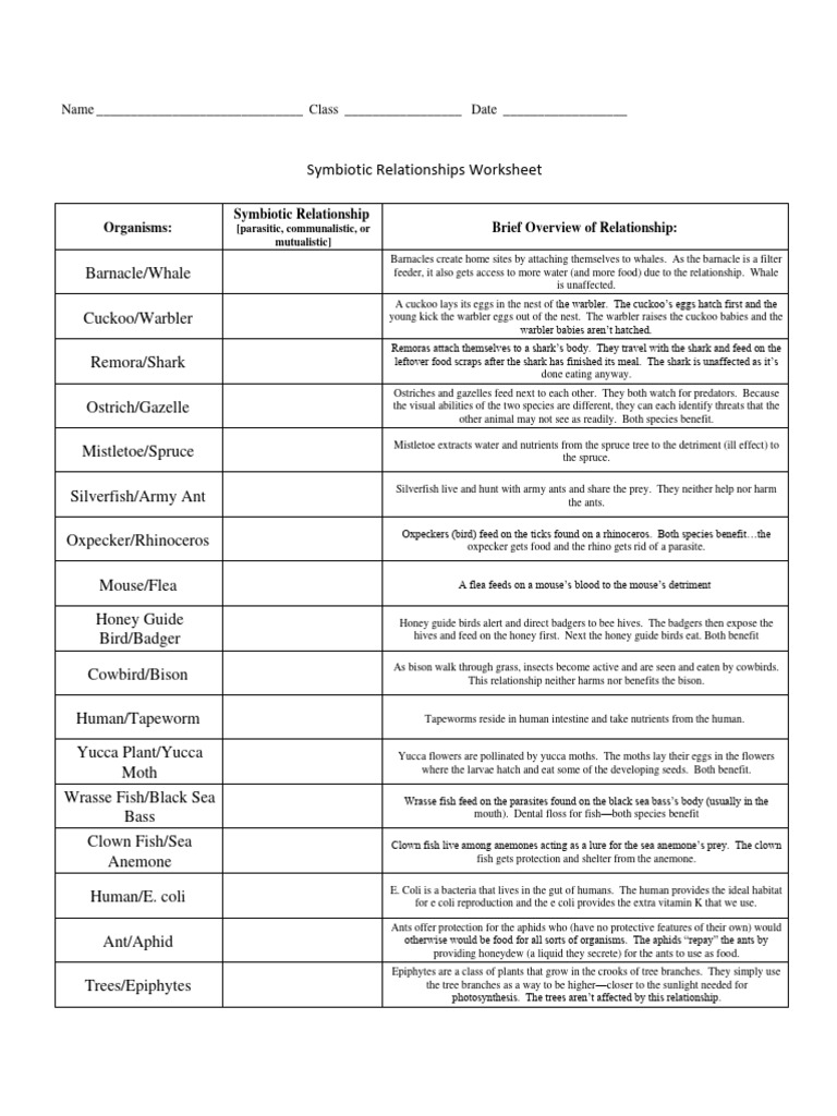 Symbiotic Relationship Worksheet-4 | PDF | Parasitism | Ant