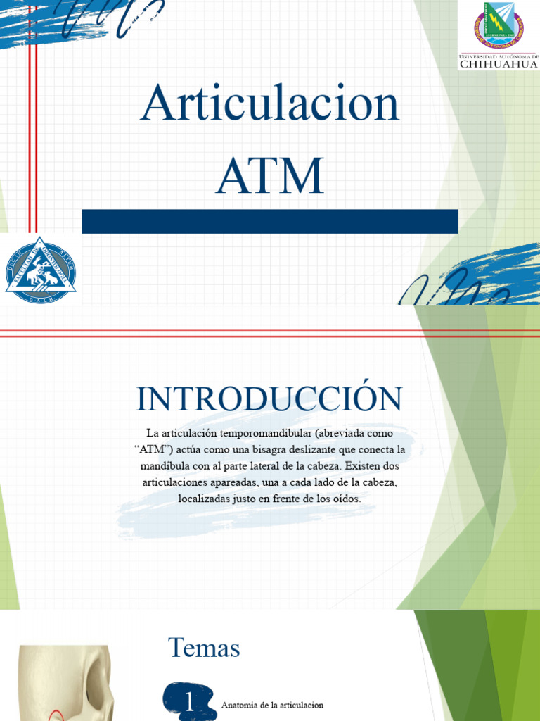 Articulacion ATM 1.0 | PDF | Articulación | Anatomía