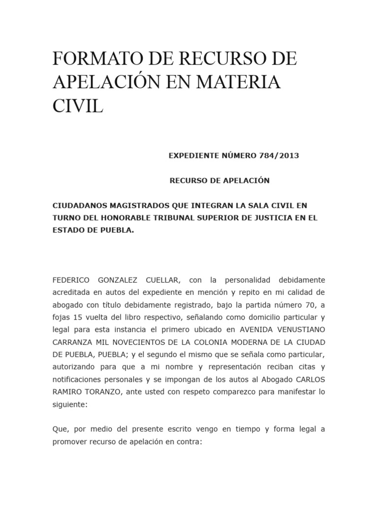 Formato de Recurso de Apelación en Materia Civil | Descargar gratis PDF | Demanda judicial ...
