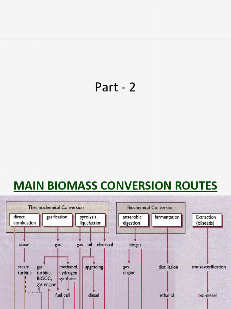 Biomass Direct Combustion Methods | PDF