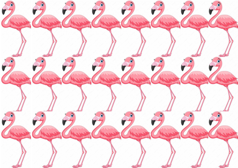 Flamingo | PDF