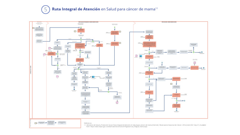 Ruta Integral Ca de Mama | PDF | Cáncer de mama | Cáncer
