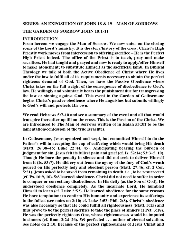 John 18 1 11 The Garden Of Sorrow PDF Jesus Religious Belief And