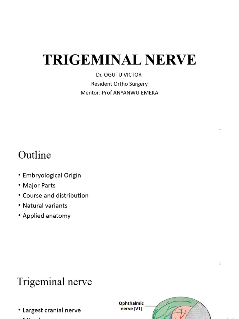 Trigeminal Nerve Anatomy | PDF | Human Head And Neck | Neuroscience