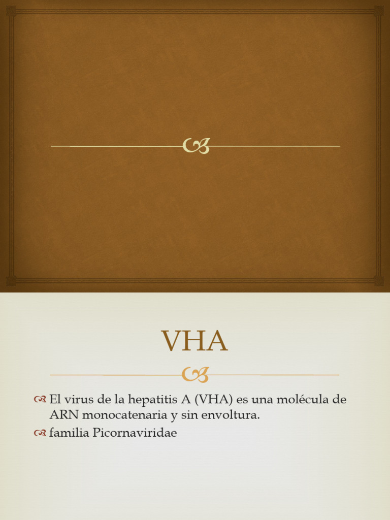 VIRUSSS | PDF | Virus de la hepatitis C | Hepatitis