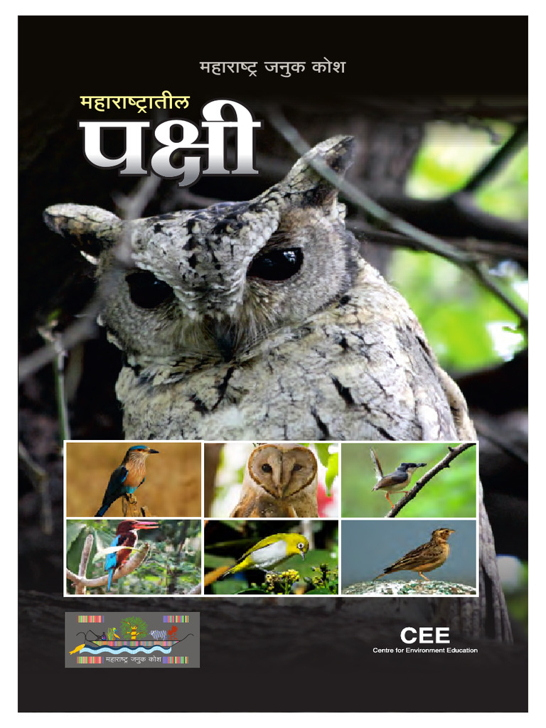 Birds Booklet | PDF | Eurasia | Birds Of Asia