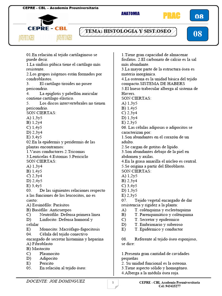 Anatomia Repaso 1 Pdf Hueso Vértebra