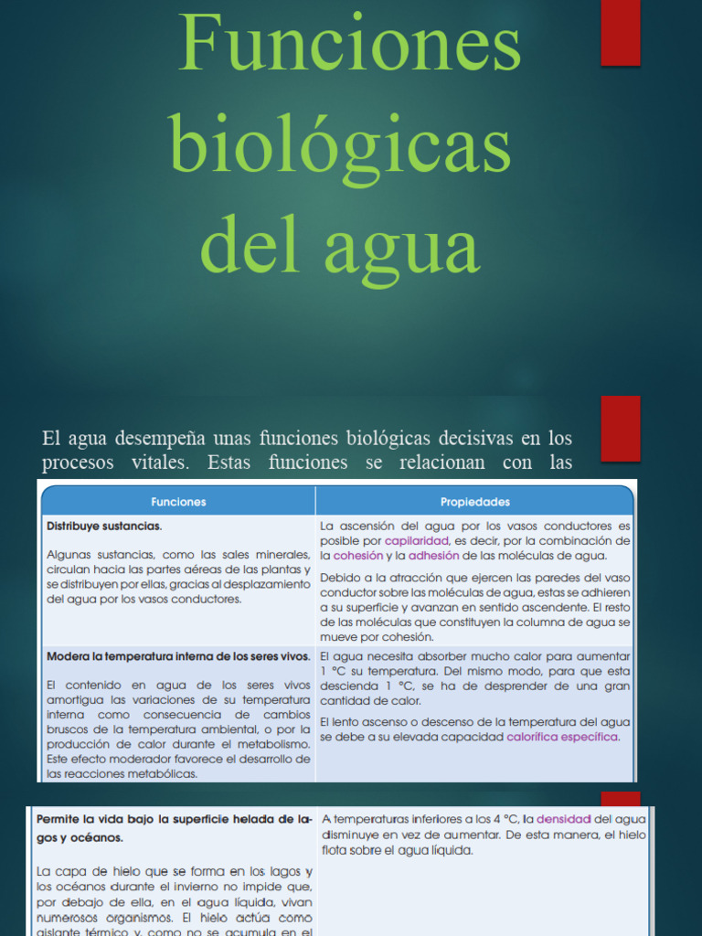 Funciones Biologicas Del Agua | PDF | Sal (química) | Calcio