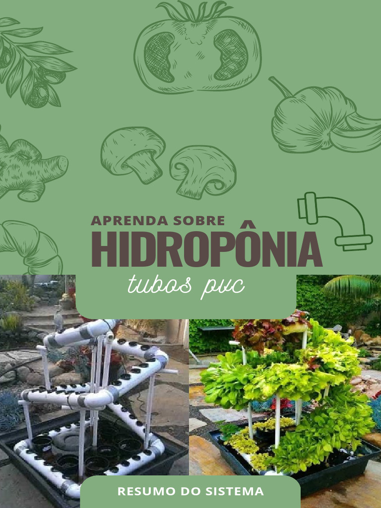 Hidroponia Tubo PVC | PDF | Hidroponia | Agricultura