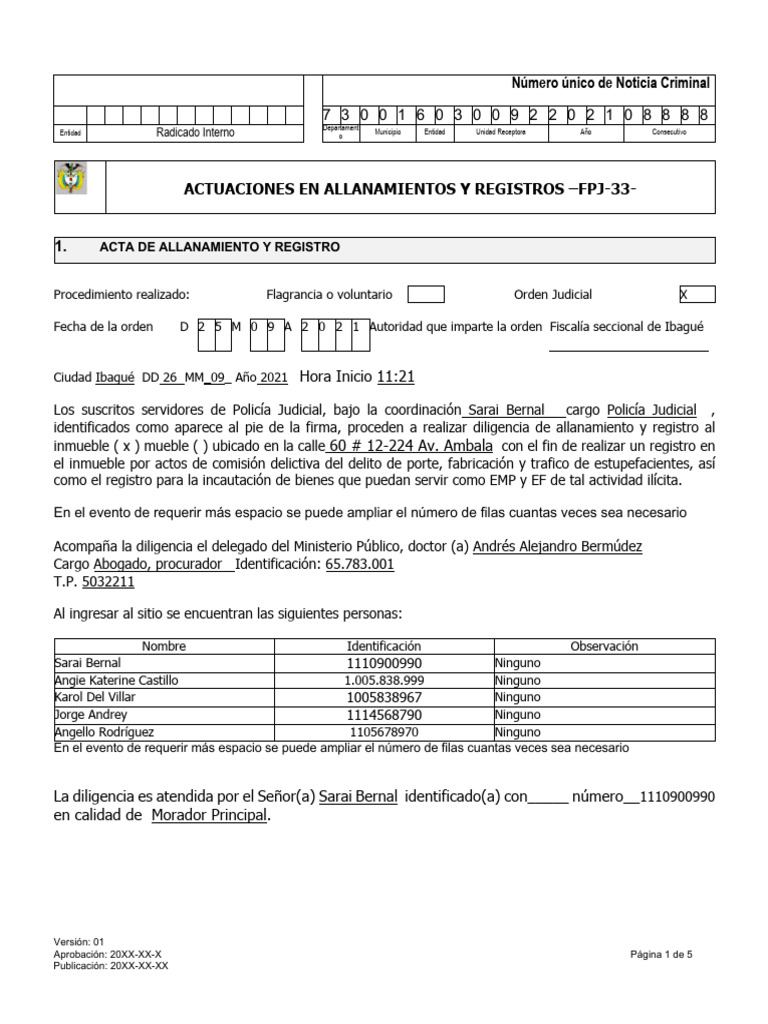 FPJ 33 | PDF | Gobierno | Seguridad nacional