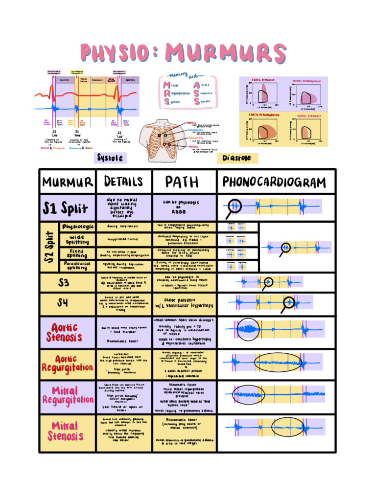 Murmurs and Infective Endocarditis | PDF | Heart | Medical Specialties