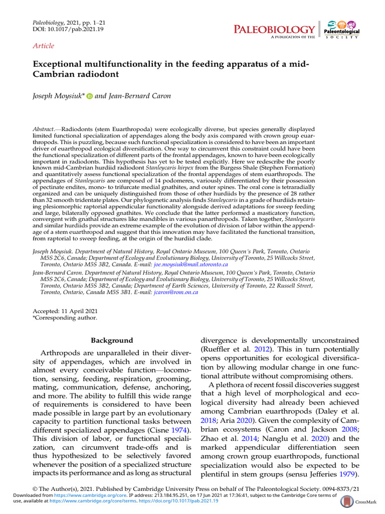 Exceptional Multifunctionality in The Feeding Apparatus of A Mid ...