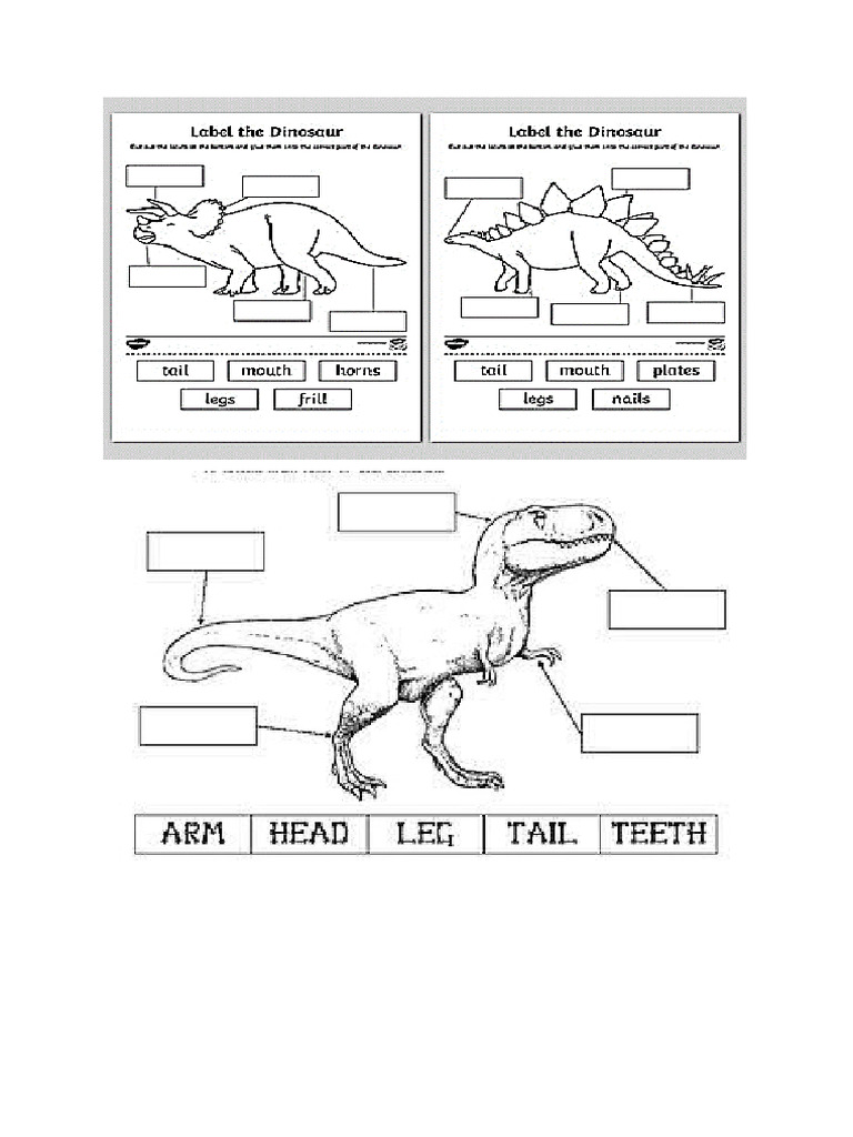 Dino Body Parts | PDF