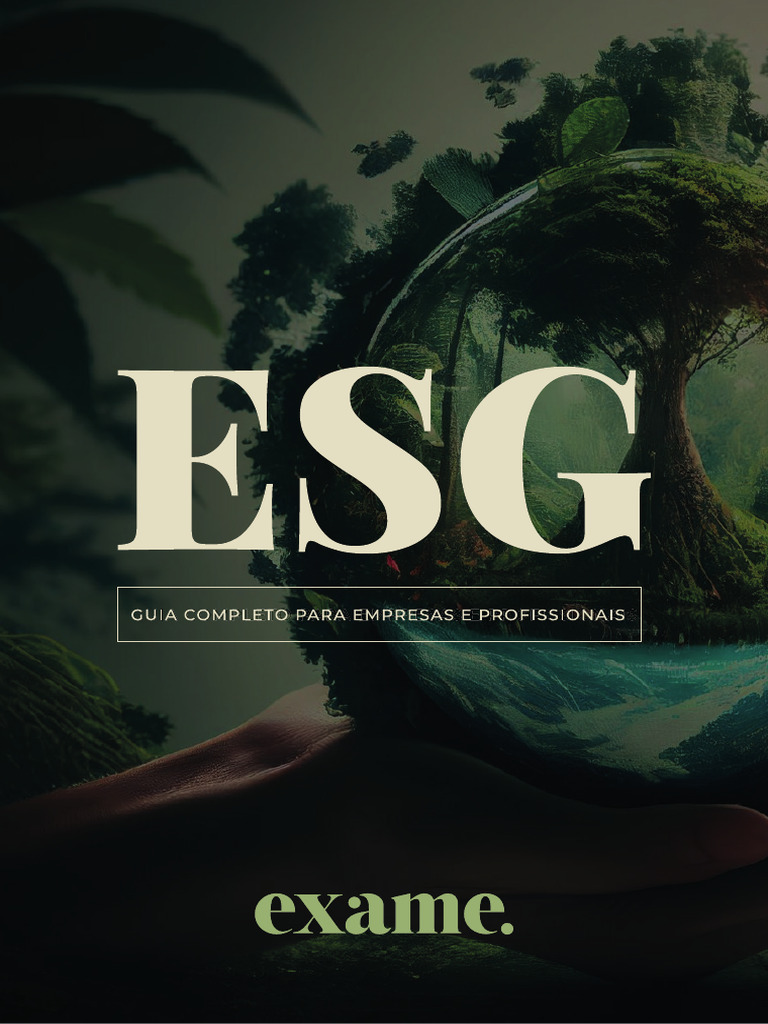 Ebook ESG Fechado | PDF