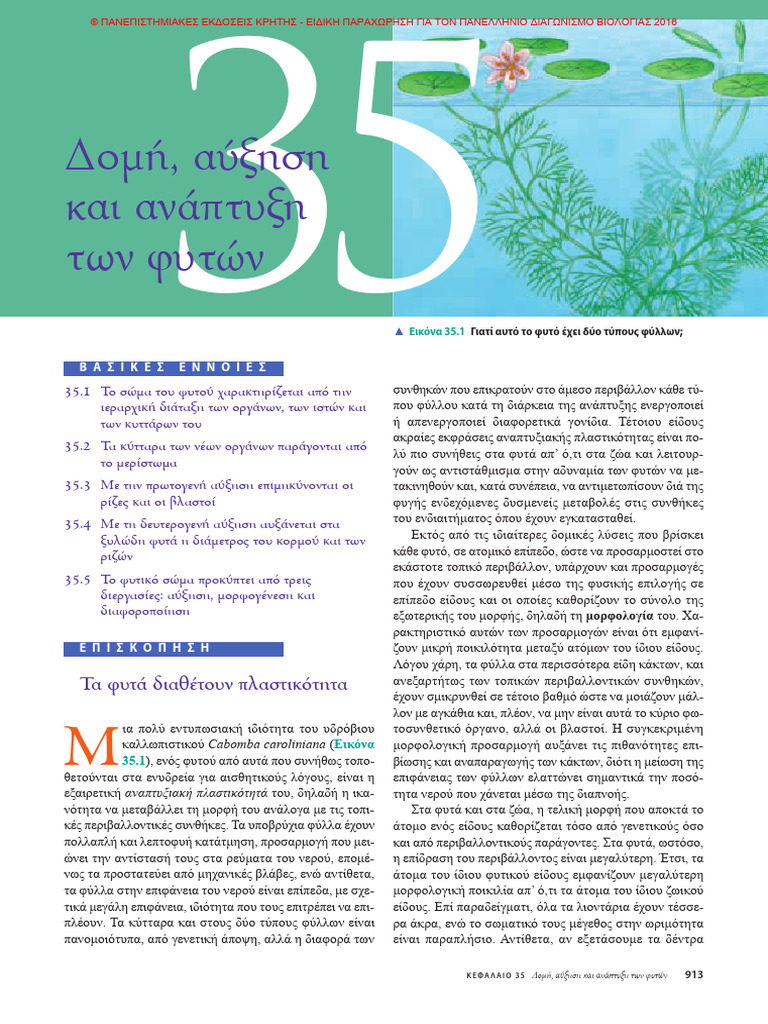 Cup Biology 35 2019 | PDF