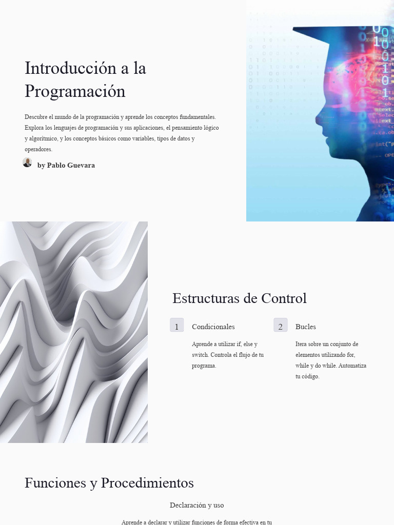 Introduccion A La Programacion | PDF | Programación orientada a objetos ... Introduccion A La Programacion | PDF | Programación orientada a objetos ...