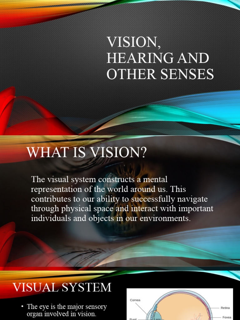 VisionJ Hearing and Other Senses | PDF | Visual System | Ear