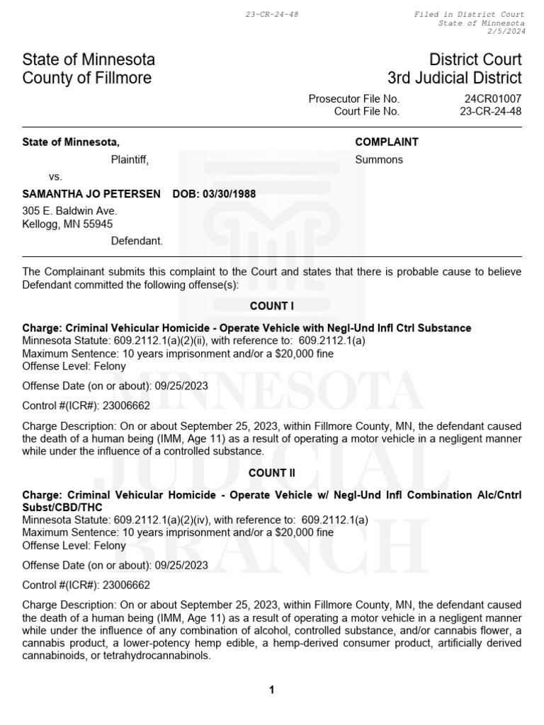 Samantha Jo Petersen | PDF | United States Federal Sentencing ...