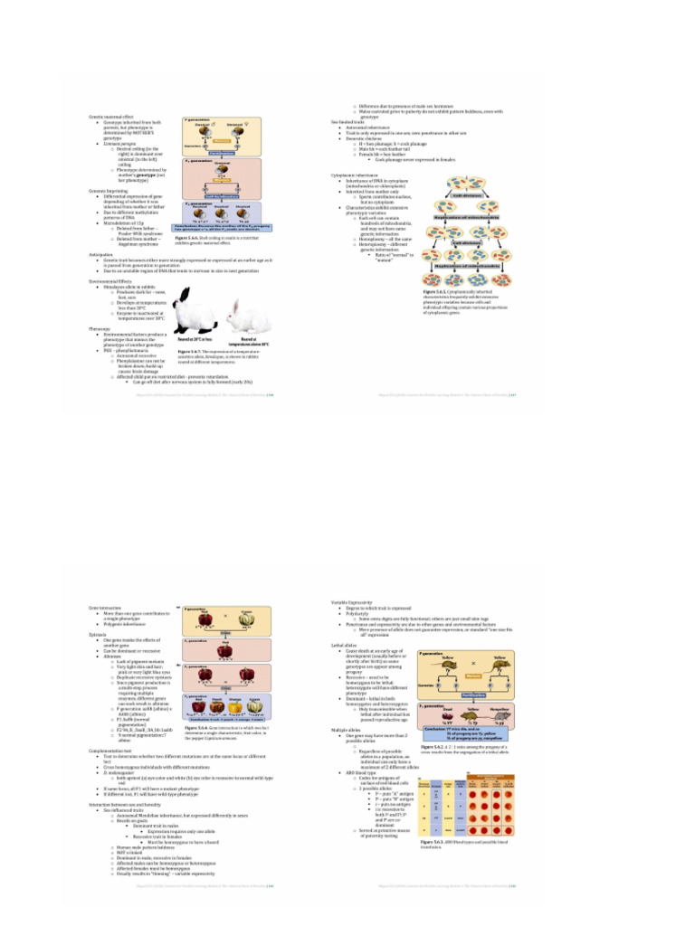 Genetics Module 3-Lesson 6 | PDF