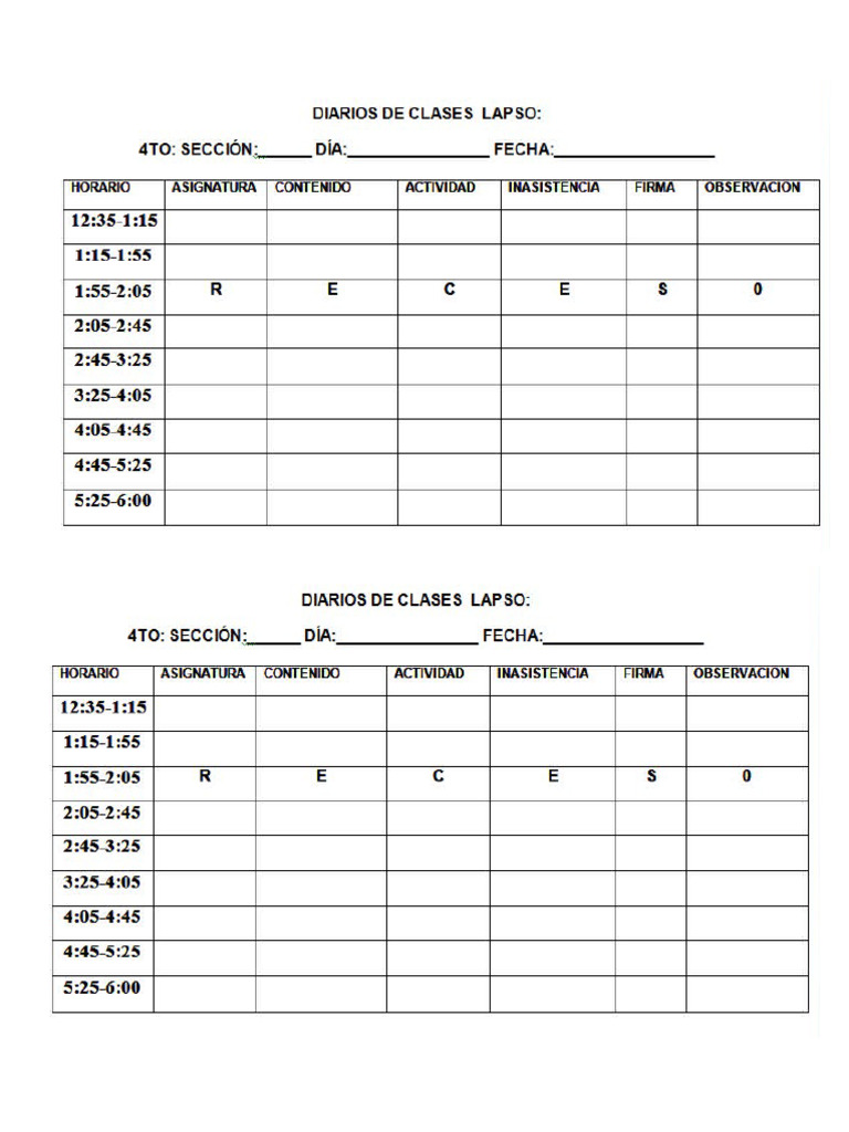 Diarios de Clase 2 en 1 | PDF