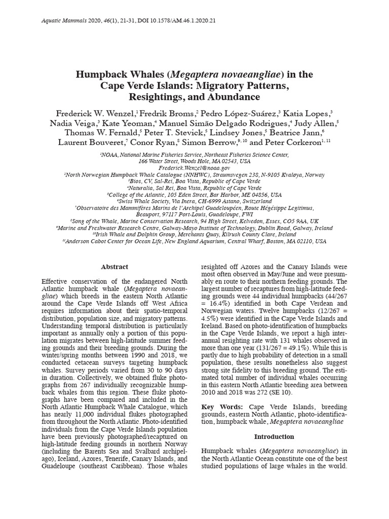 Humpback Whale Migration in Cape Verde | PDF | Akaike Information ...