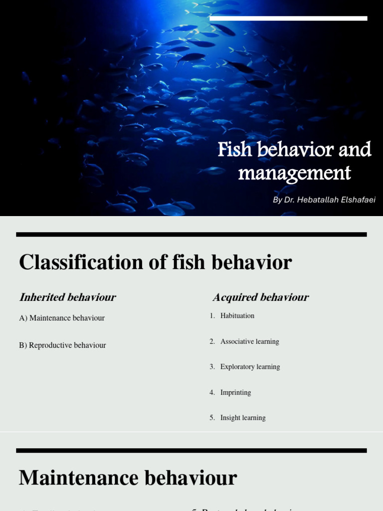 Fish Behaviour Sec 1 | PDF | Plankton | Predation